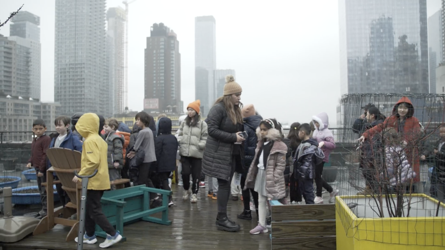 Avenues World Elements